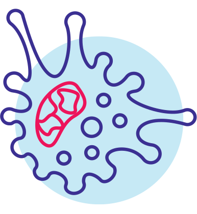 LEUKINE® (sargramostim) | Mechanism of Action